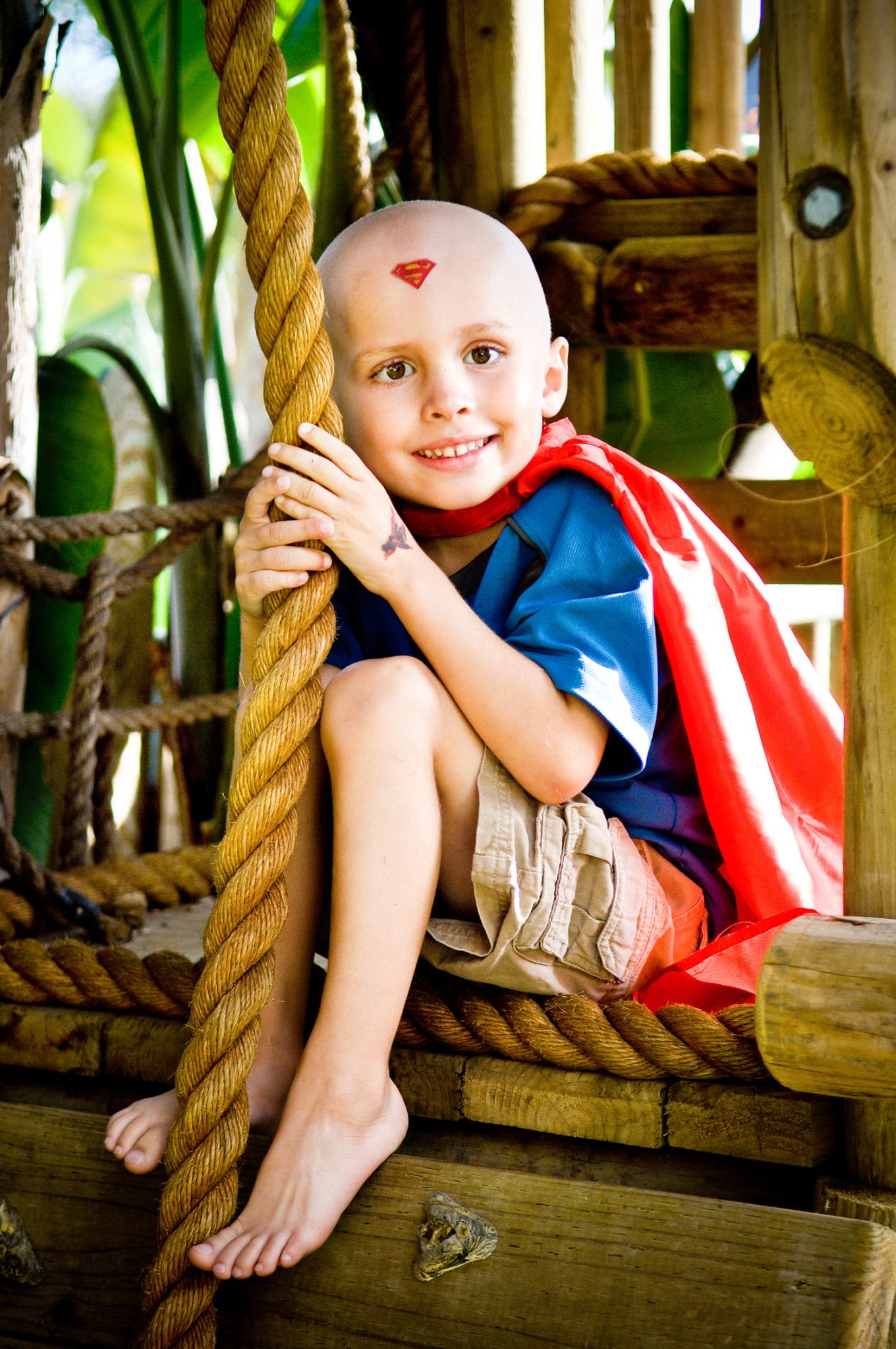 Plexin-Semaphorin: A new signaling axis in Sarcomas - Children's Cancer ...